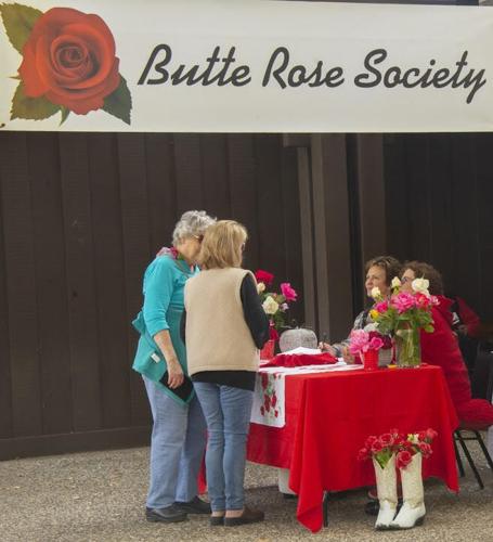 Butte Rose Show returns to Chico Saturday | News | actionnewsnow.com