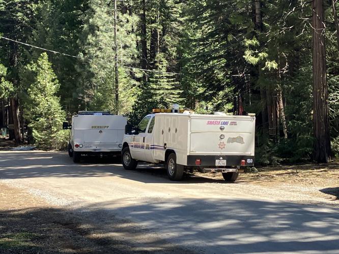 3 adult Wolf-dog hybrids still on the loose in Shasta County | News ...