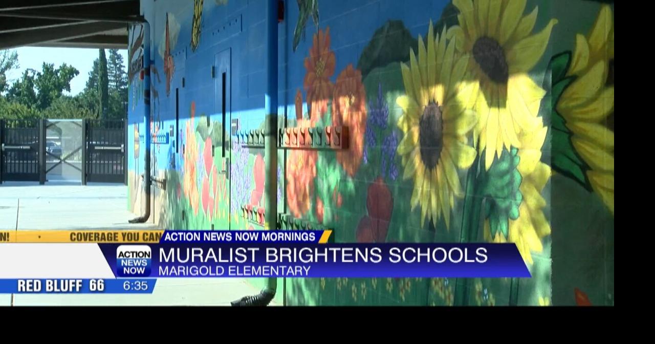 Chico muralist brightens local elementary school | News | actionnewsnow.com