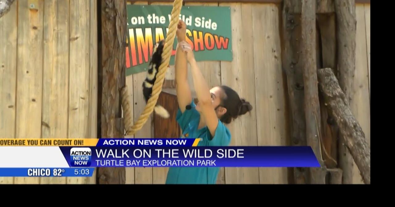 Walk on the Wild Side animal show delights children of all ages | News ...