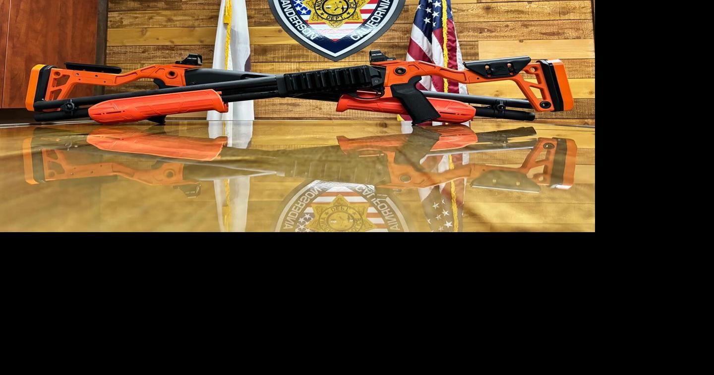 Anderson police unveil new shotguns | News | actionnewsnow.com