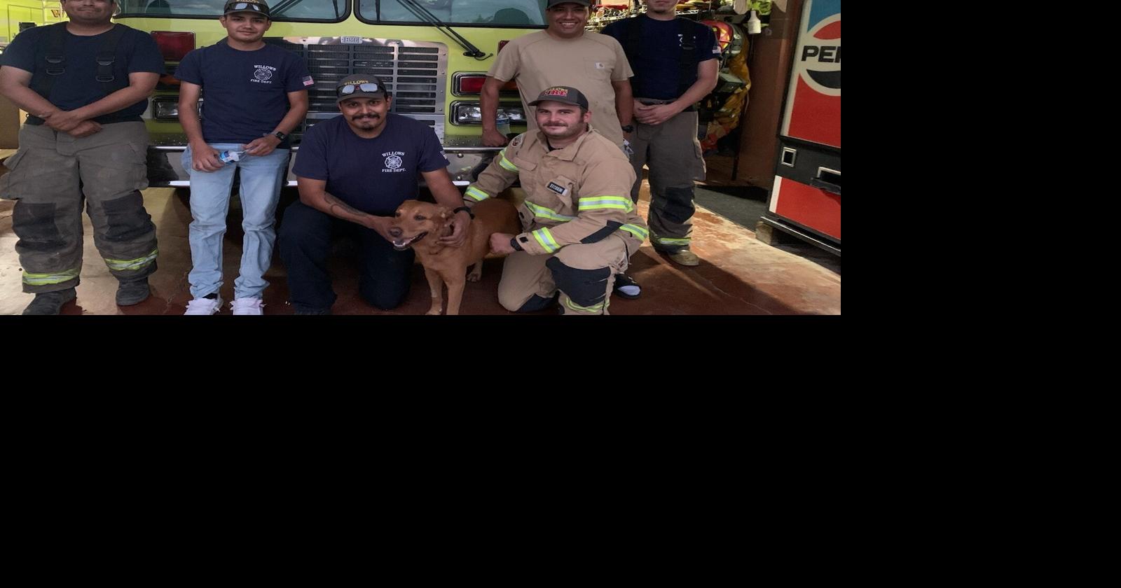Car crash on I-5 sends one driver to Enloe, dog cared for by Willows FD ...