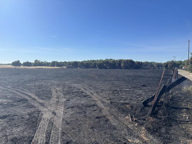 Honcut Fire 5-29 | | actionnewsnow.com