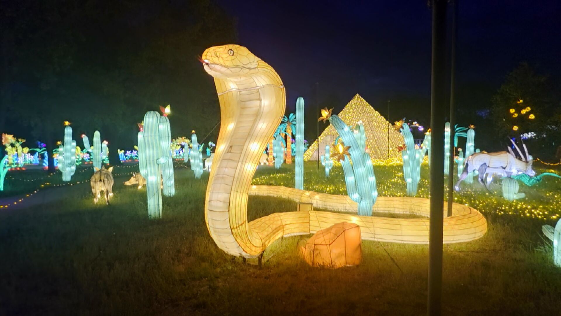 Glowing Wild lights up Turtle Bay in Redding | News | actionnewsnow.com