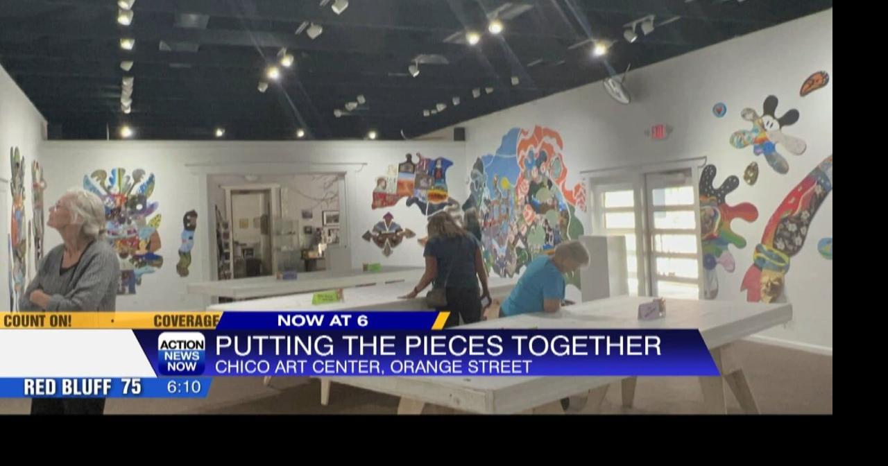 Community members & local artists created an exhibit at the Chico Art ...