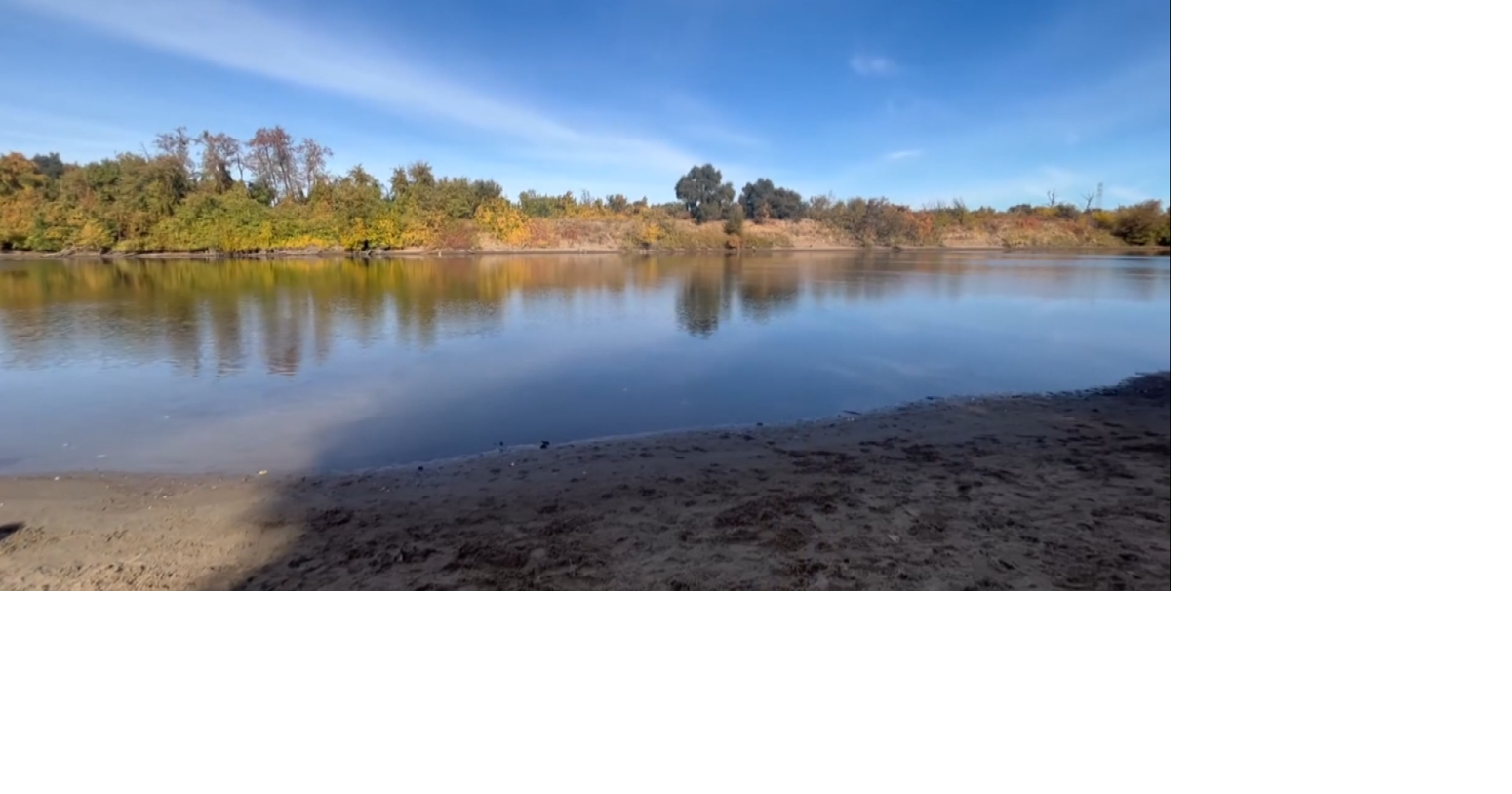 Fall-Run Chinook Salmon now running in the American River | News ...