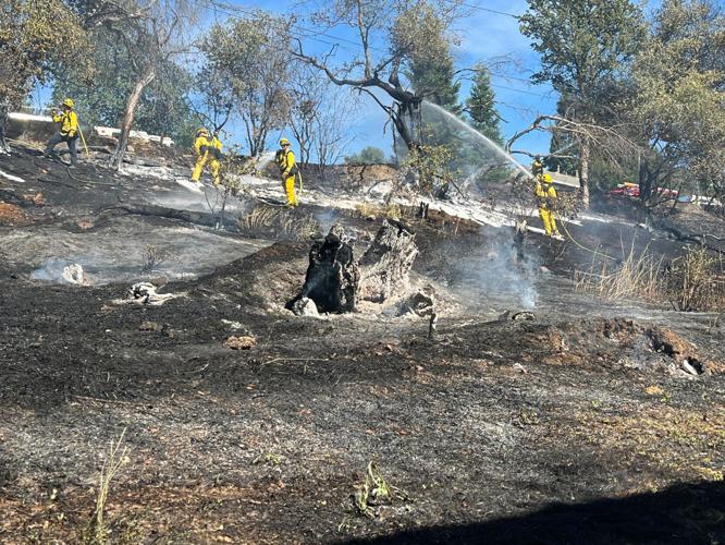 Redding vegetation fire found to be human-caused, firefighters say ...