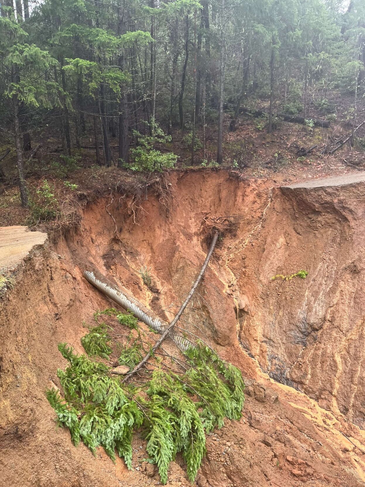Forest roads washed out between Hyampom Valley and South Fork Mountain ...