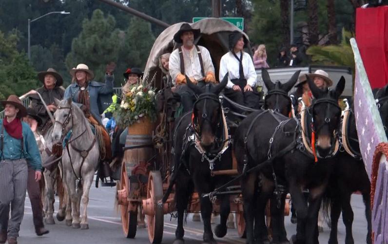Rose Parade features Butte County couple and their mule team | News ...