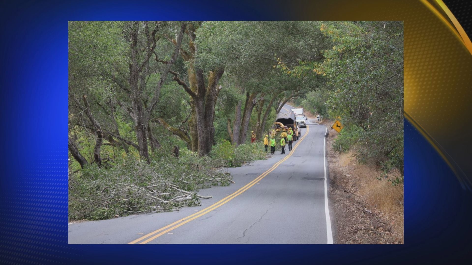 California offers $70 million in grants to reduce wildfire risk | News ...