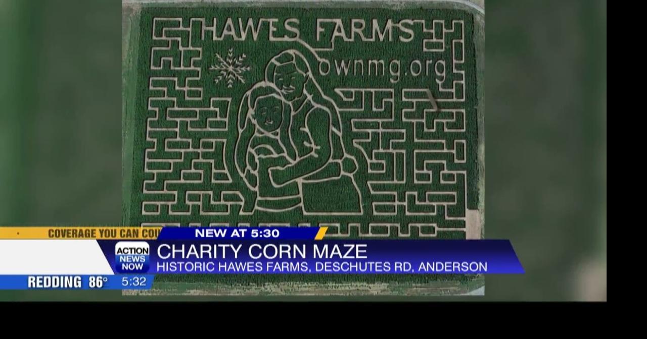 Safety concerns over haunted corn maze at Hawes Farm | Local ...