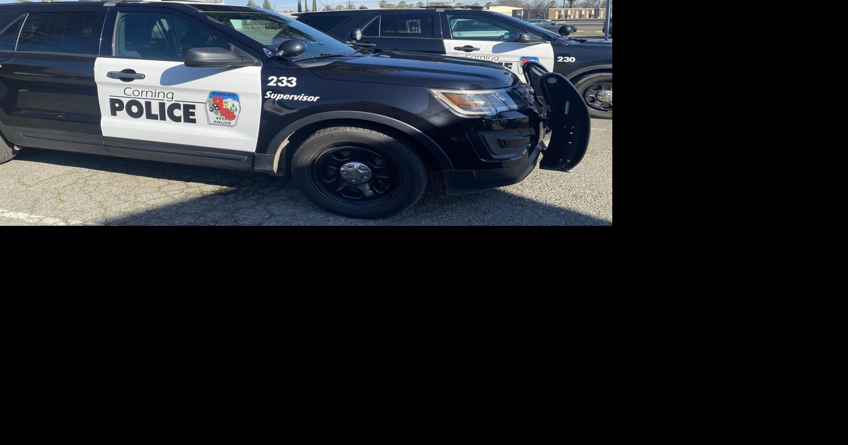 K-9 Ghost helps Corning police find domestic violence suspect | News ...