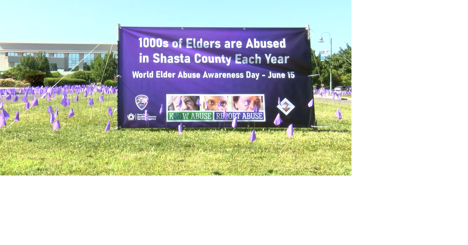 3,210 purple flags planted in front of Redding City Hall to represent ...