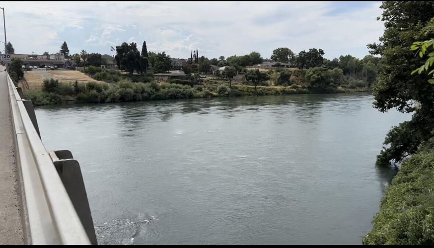 Red Bluff police rescue 36-year-old woman after she jumped into ...