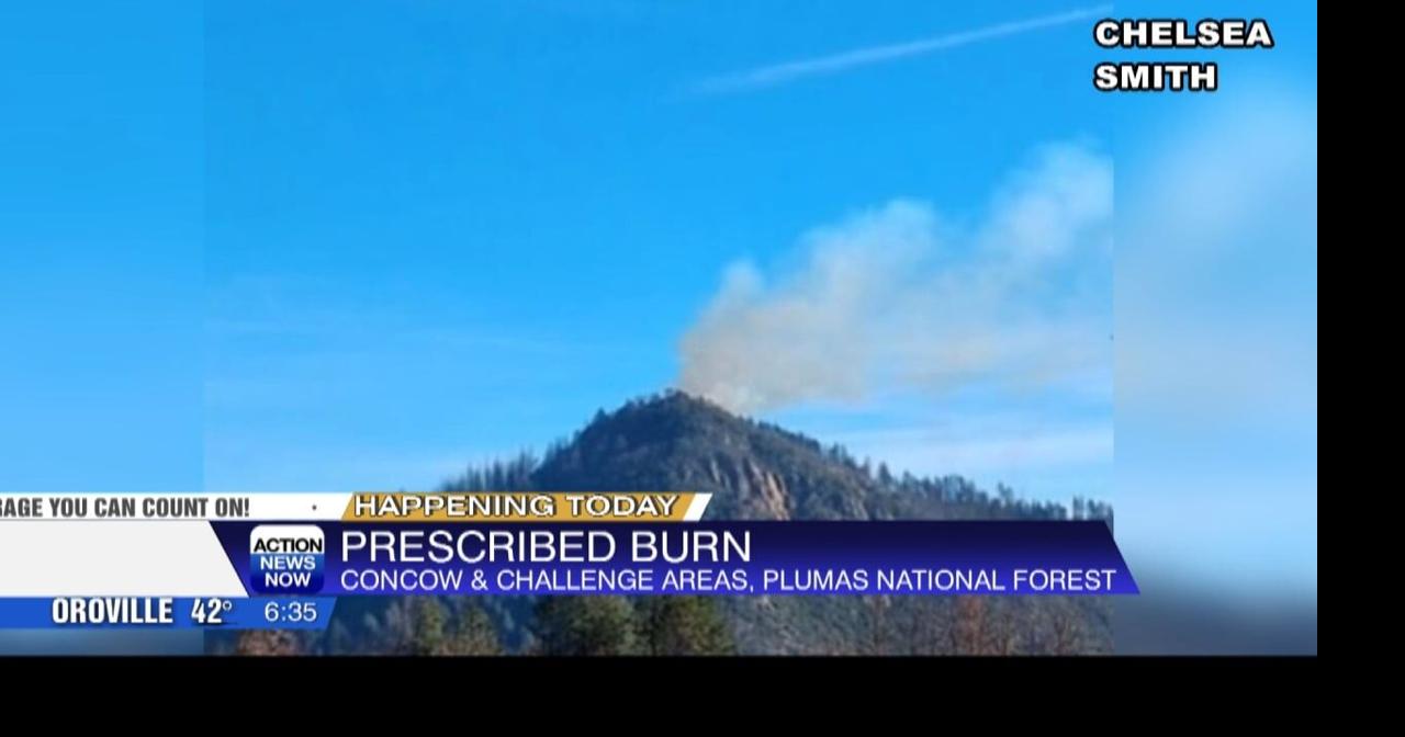 United States Forest Service carrying out prescribed burns in the ...