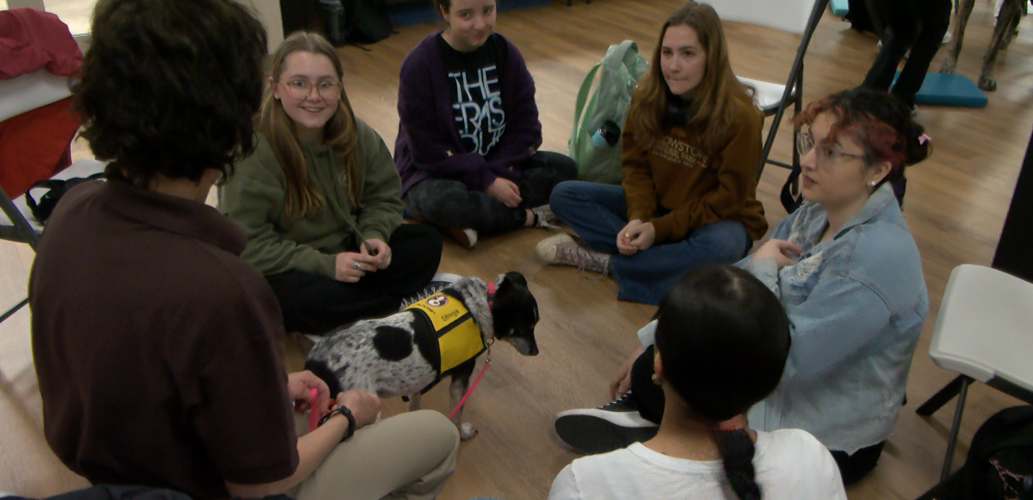 'Pet Partners of Chico' spreads smiles through animal therapy visits ...