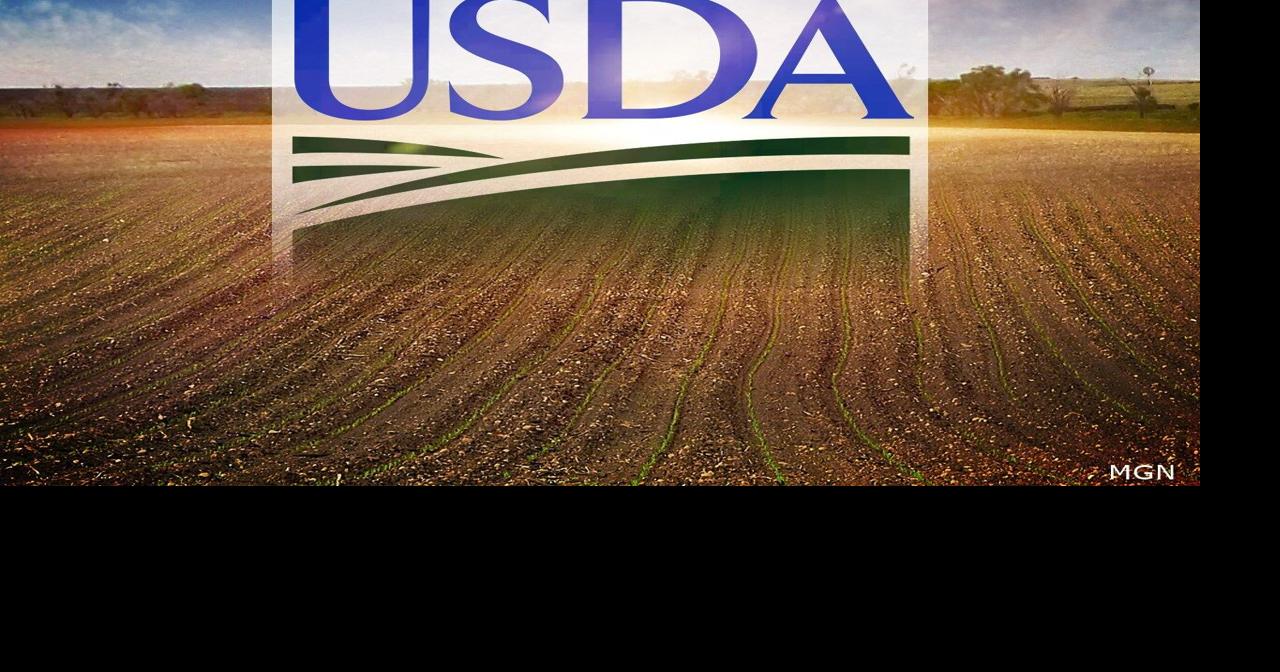 USDA moves to block taxpayer dollars for solar panels being installed ...