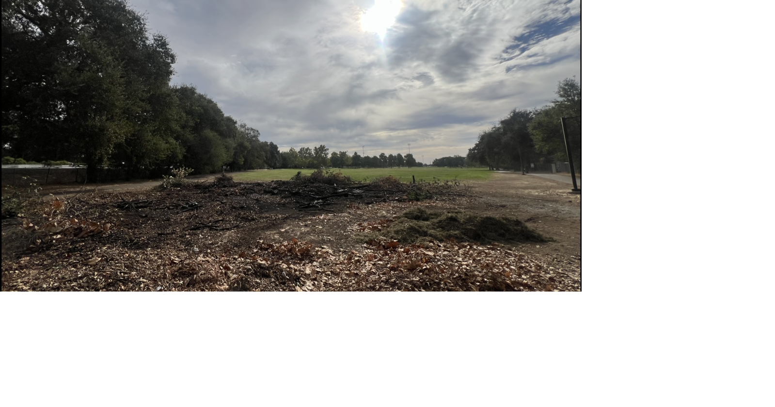 Chico Fire Department investigates fire that sparked near the 20th ...