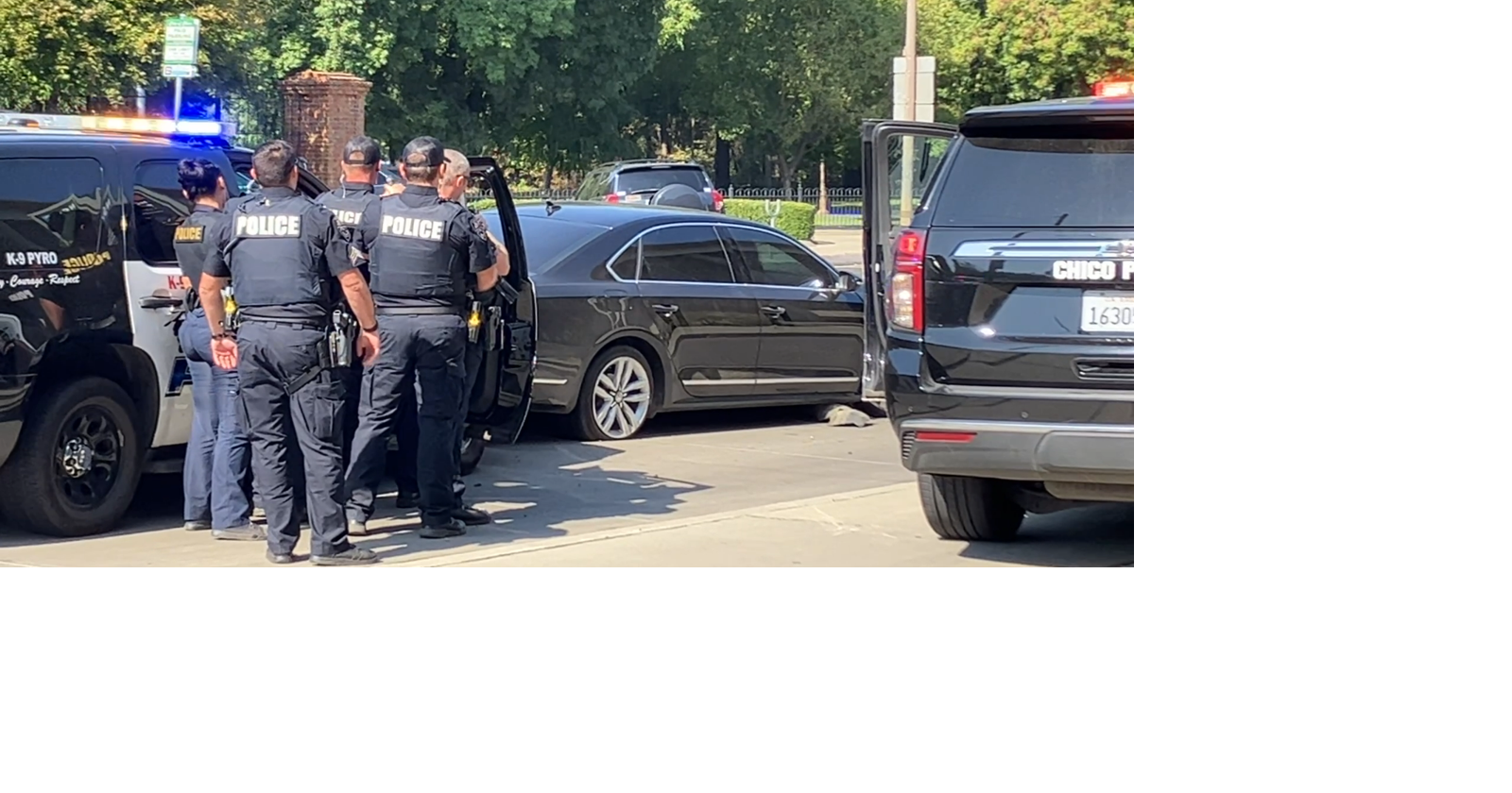 Chico police arrest reckless driver Friday morning | News ...