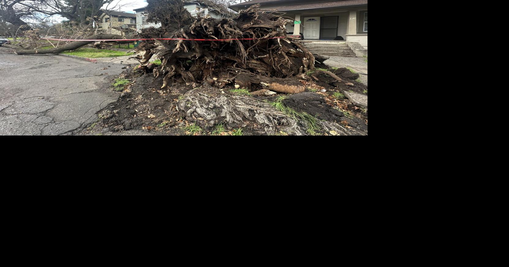 Tree falls on housing complex in Chico after severe storm hits | News ...