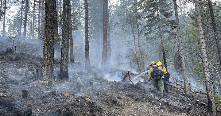 USFS firefighters work to contain lightning fire in Plumas National ...