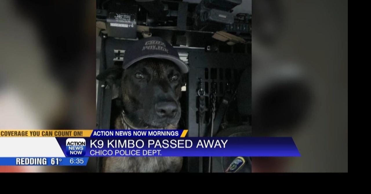 Chico K9 officer passes away | Video | actionnewsnow.com