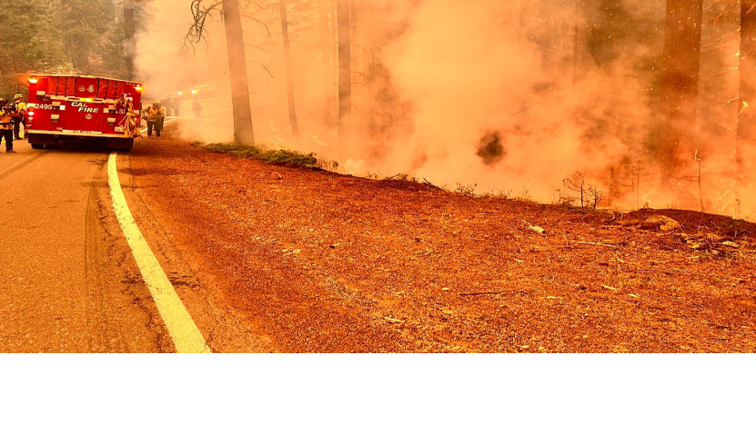 Weather | actionnewsnow.com