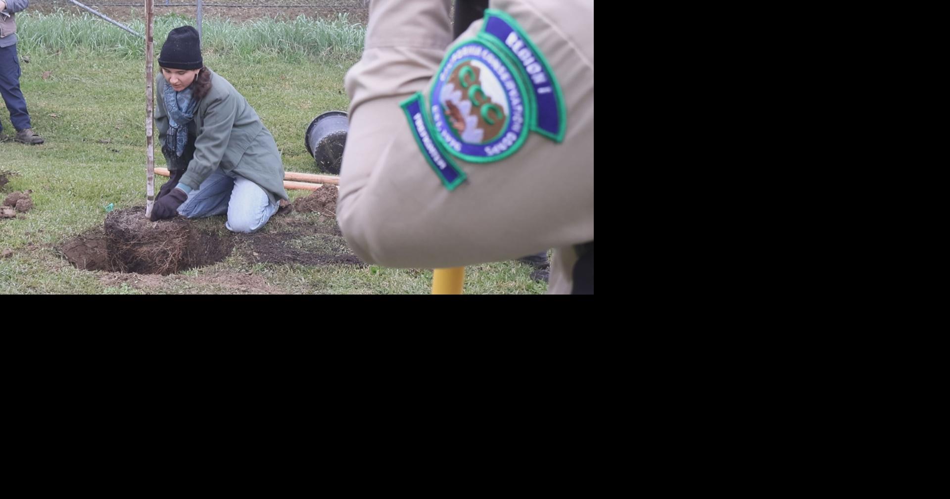 Tree-planting project brings new shade to Corning park | News ...