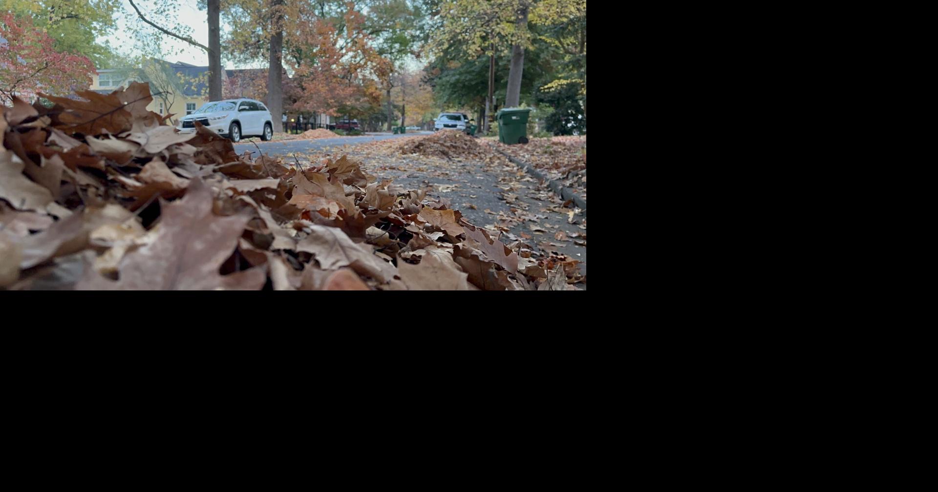 Chico leaf collection program kicks off for the season | News | actionnewsnow.com