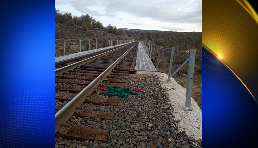 Missing woman Trena Borello's car found near Shasta/Lassen County line ...