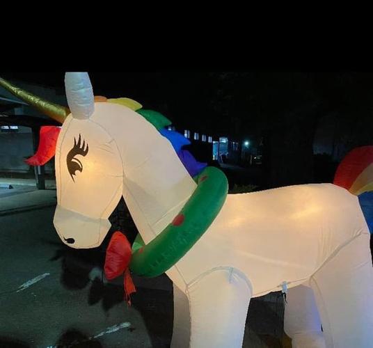 Two inflatable Christmas unicorns returned to their family just in time ...
