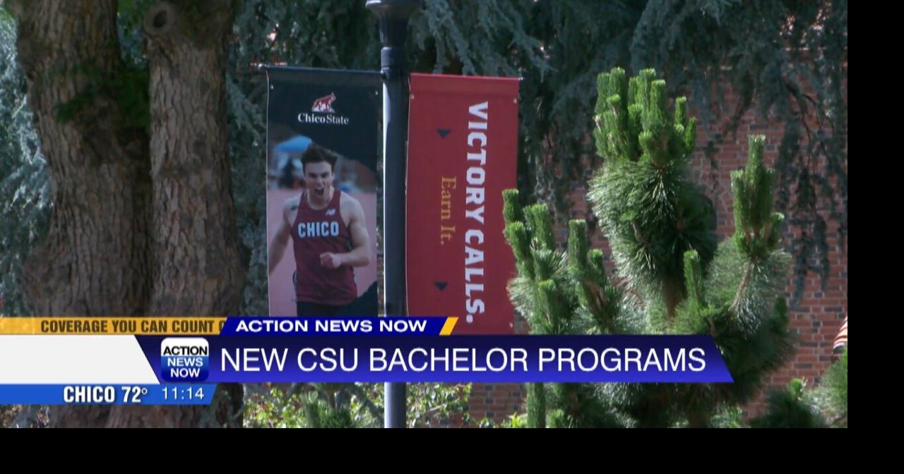 CSU trustees approve 3-year bachelor's degrees to fast-track careers ...