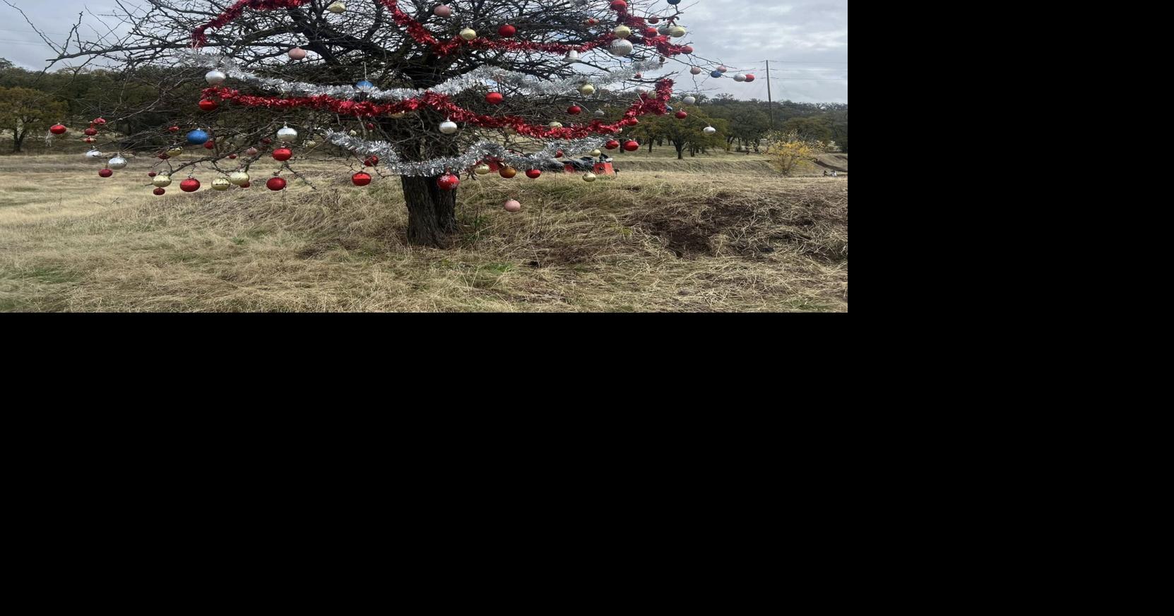 Carrie's Tree tradition brightens I-5 for 57th year | News ...