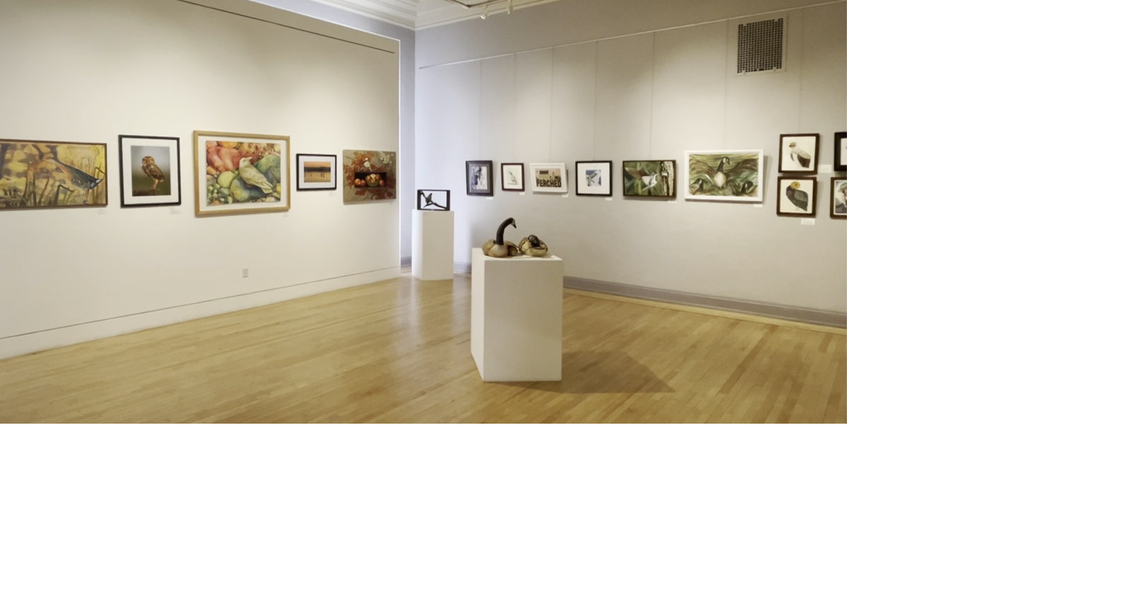 Birds take flight at the Museum of Northern California Art in Chico ...