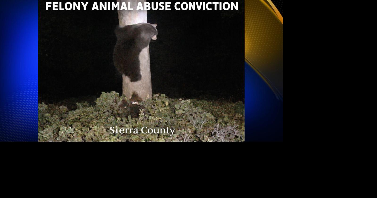 Two men convicted in major wildlife poaching case in Sierra County ...