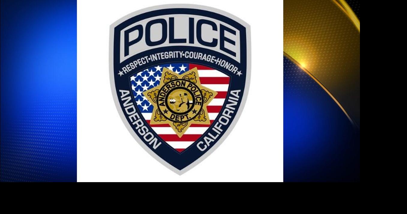 Person dead after running toward train in Anderson, police say | News ...