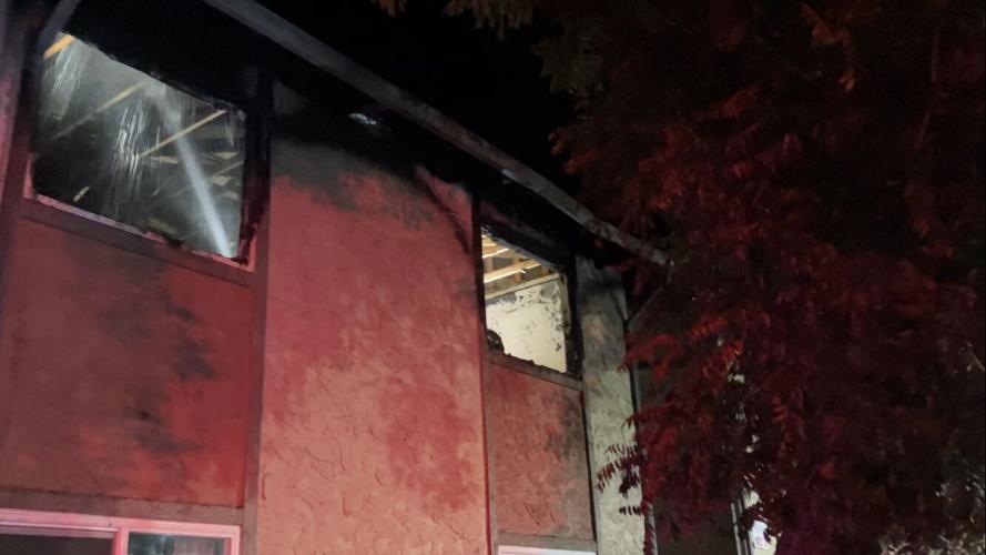 Early-morning apartment fire in Chico kills four pets | News ...