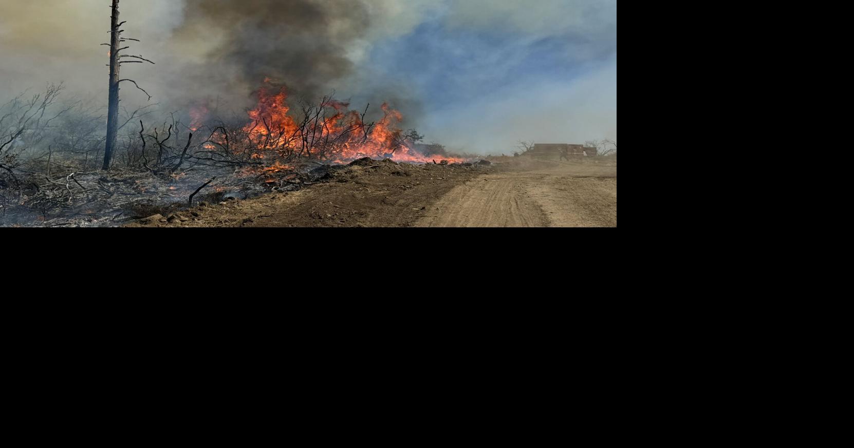 Quincy Fire: 85 acres, 50% contained | News | actionnewsnow.com