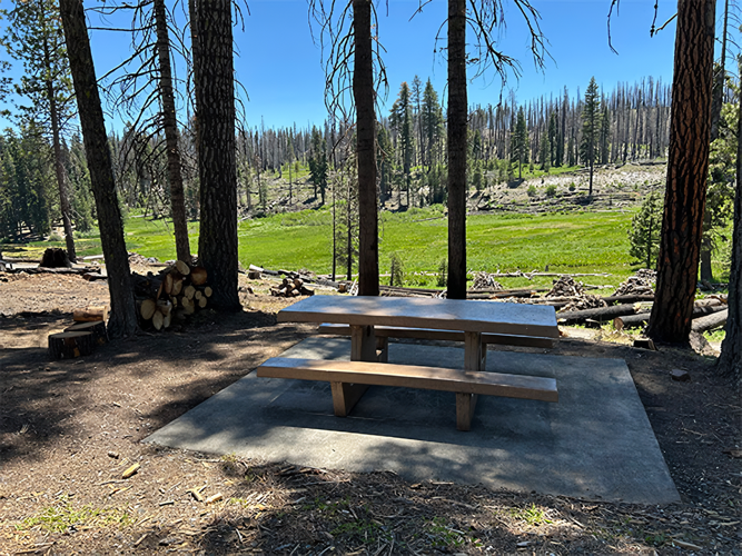 Plaskett Meadows Campground to reopen June 27 after USFS finishes ...