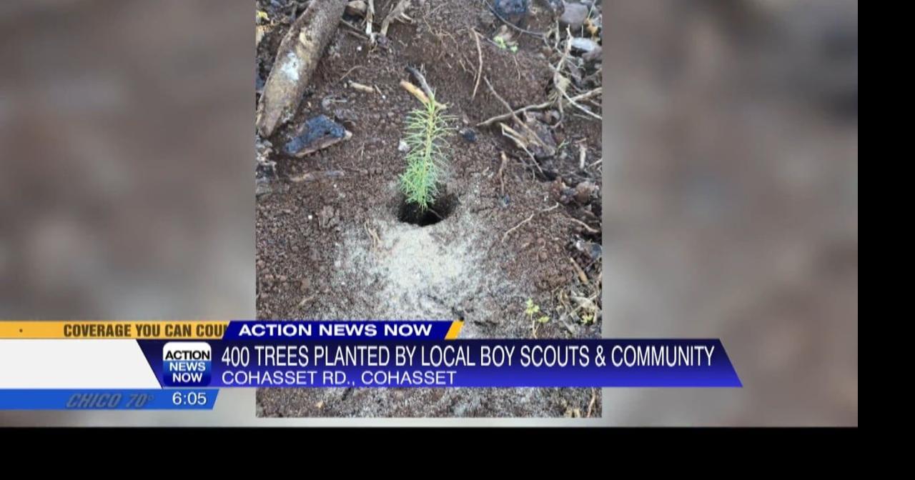 Chico Boy Scouts plant 400 trees to restore Cohasset Road | Video ...