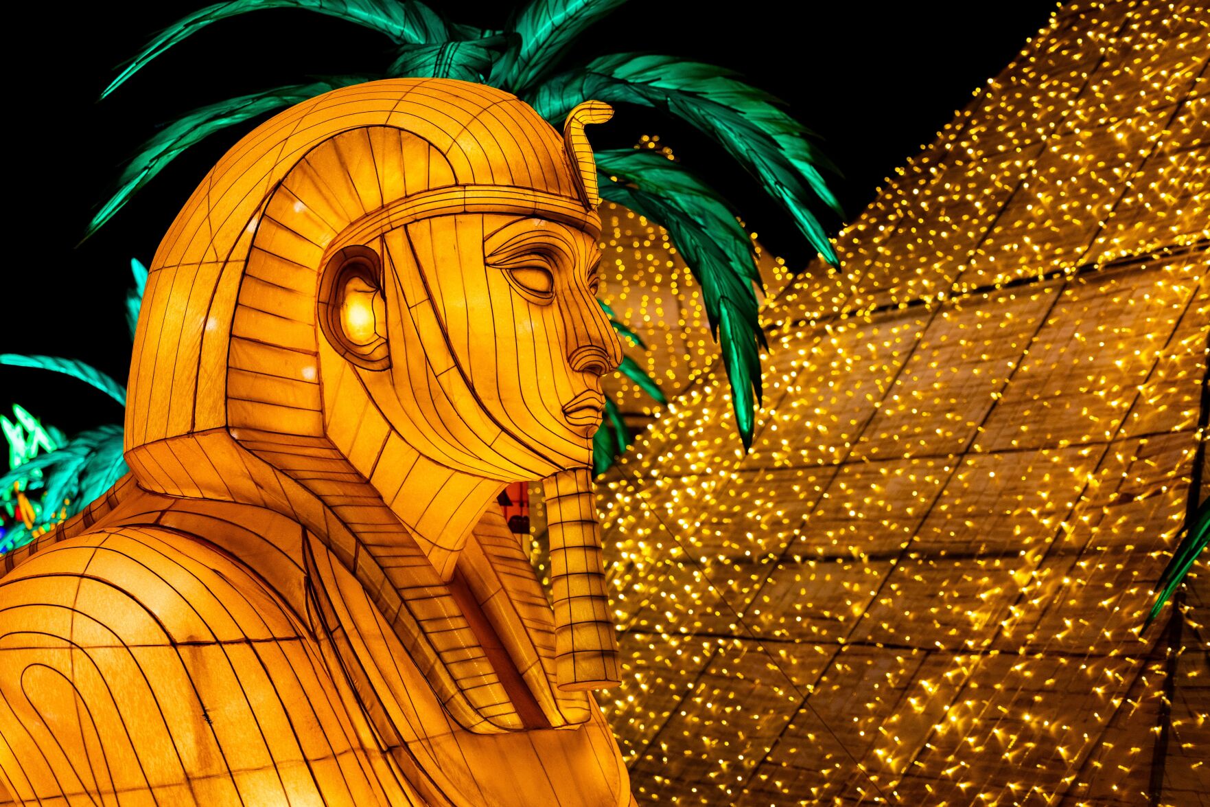 Turtle Bay Exploration Park to hold 3rd annual Glowing Wild Lantern ...