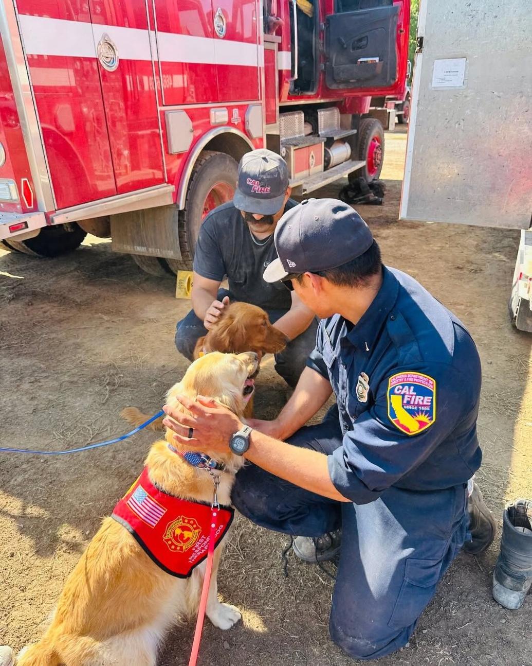 PTSD Awareness Month: CAL FIRE shines light on mental health support ...