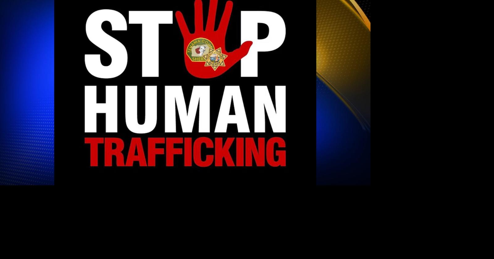 stop human trafficking logo