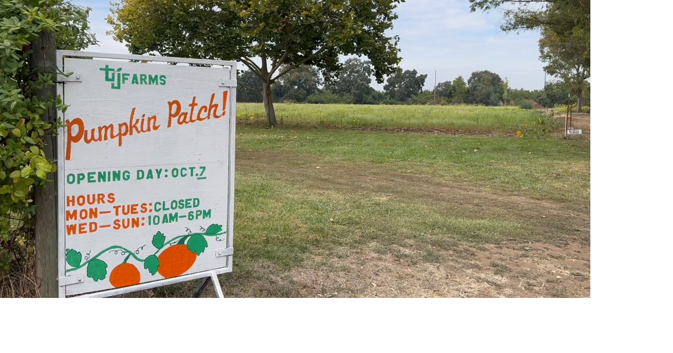 New owner of TJ Farms continues yearly fall traditions in Chico | News ...