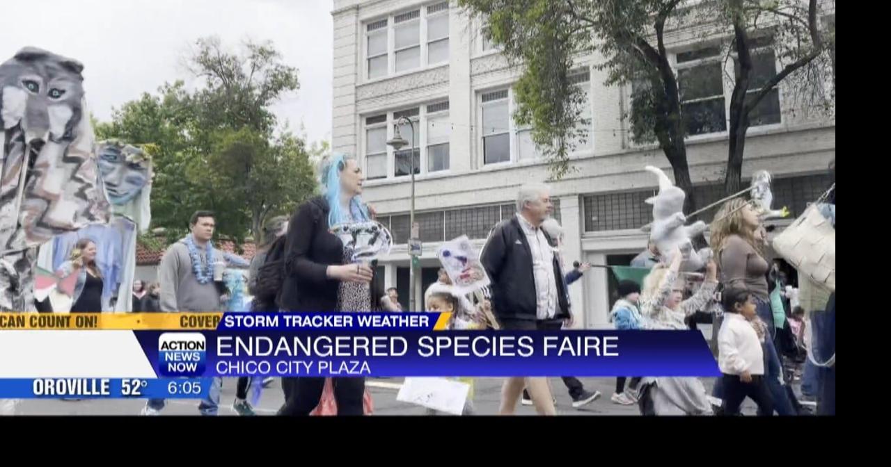 The Endangered Species Faire Procession of the Animals is a favorite ...