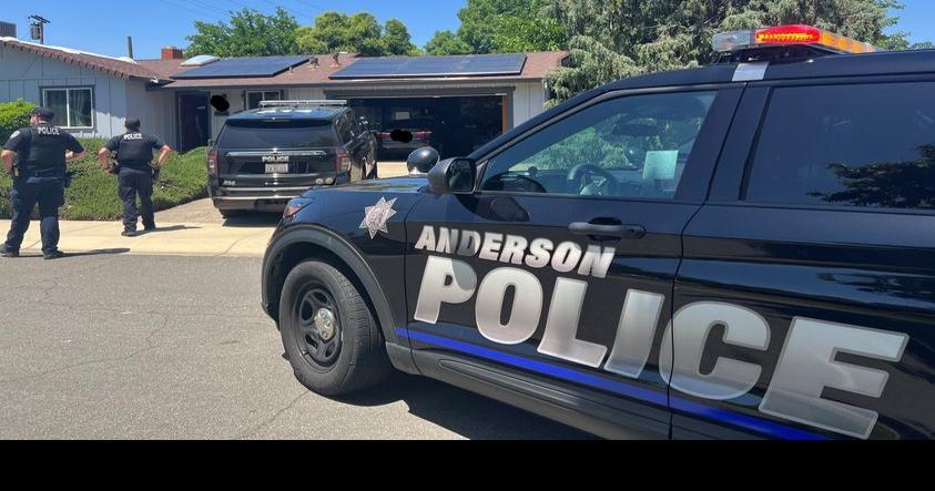 Anderson Police arrest nude burglar | News | actionnewsnow.com