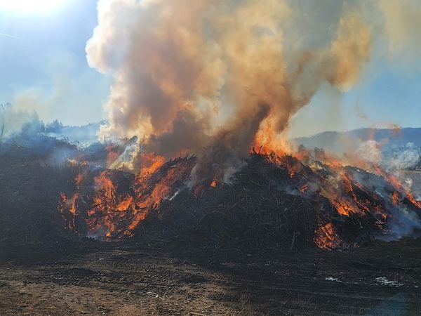 Mount Shasta controlled burn | | actionnewsnow.com