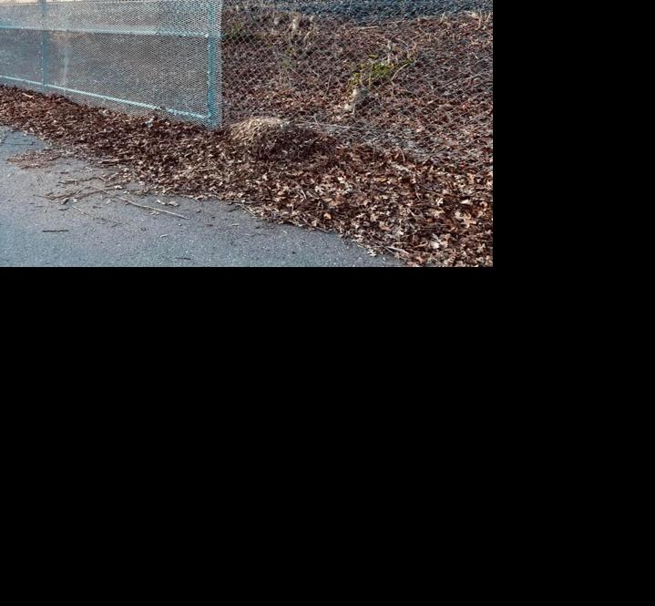 City of Chico builds new fence along bike path near Chico State | Local ...