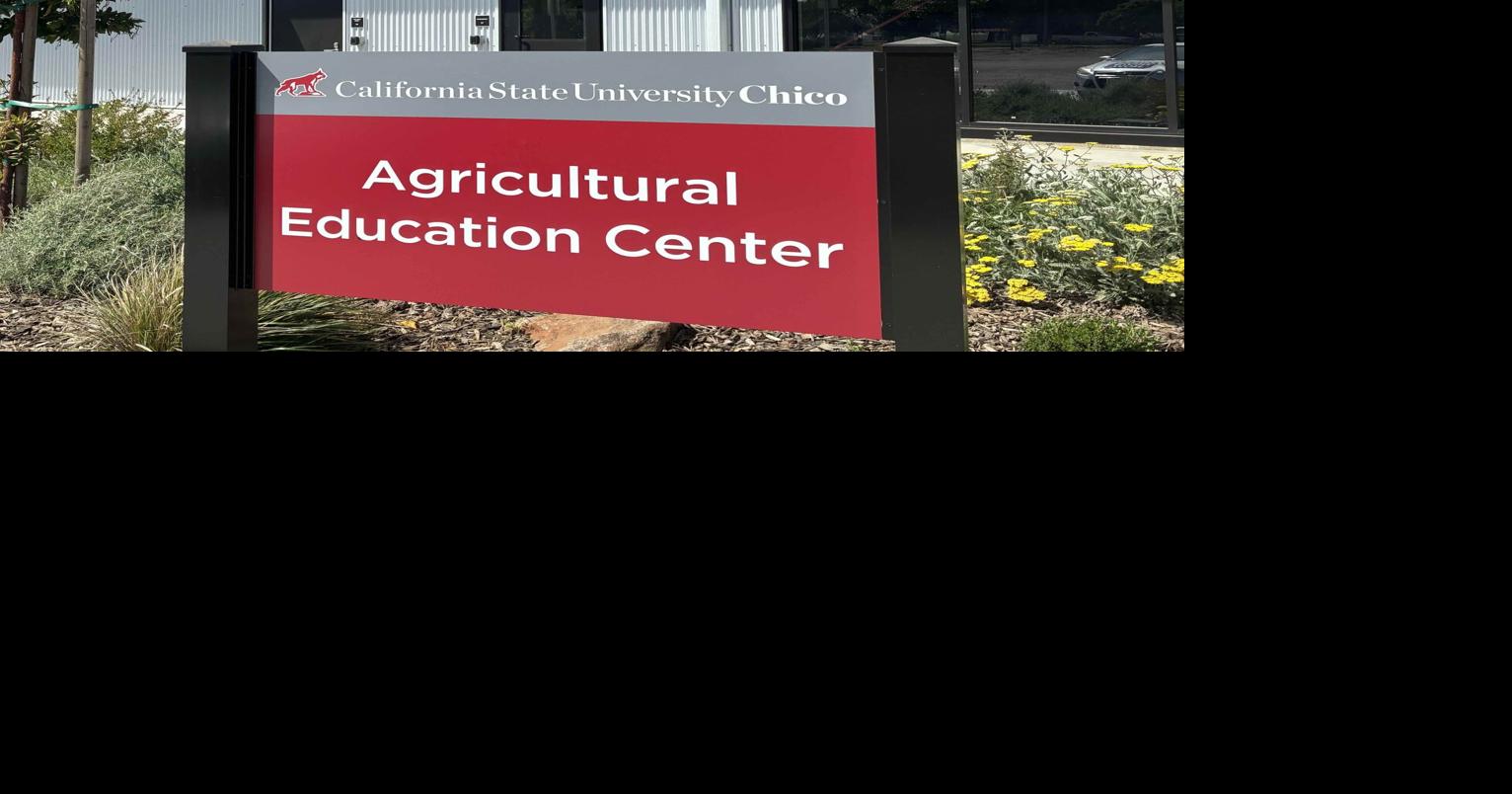 Chico State Farm hosts event called "Ranching With Wolves" | News ...