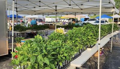 Alton Farmers Market to open Saturday | Local News | advantagenews.com